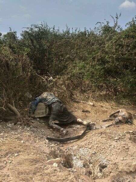 ဝမ်းတွင်းမြို့နယ်၊ ရိုးစုံကျေးရွာတွင် နေထိုင်သော မိသားစုတစ်ခုတည်းမှ လင