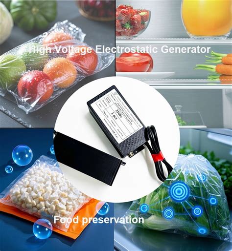 China Customized High Voltage Electrostatic Transformer Generator In Food Preservation Suppliers