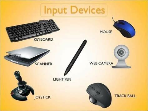 INPUT AND OUTPUT UNITS