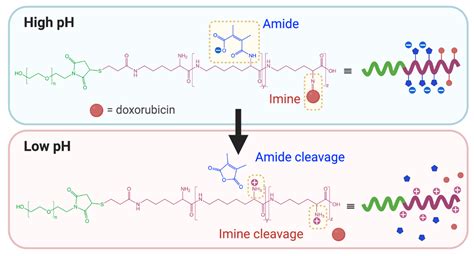 Strategies For The Development Of Ph Responsive Synthetic Polypeptides