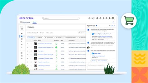 Ecommerce Storefronts In Salesforce Starter And Pro Salesforce
