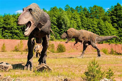 T Rex Hunting Crafts Inspire Me