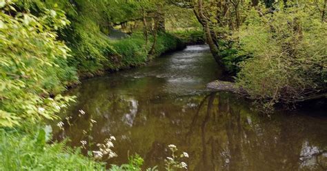 Our North Devon Adventure Parkham In May