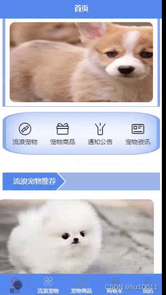 基于微信小程序的宠物助养平台的设计与实现源码开题 Csdn博客