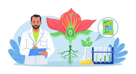 Biologie Botanique Sujet Biologiste Explorant La Nature Scientifique Effectuant Une Analyse En
