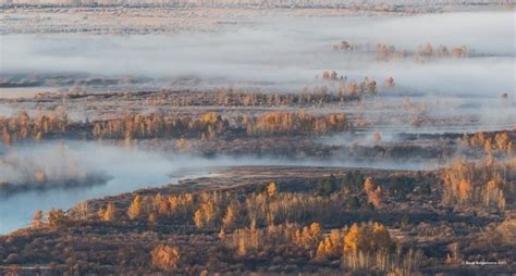 ФОТО Сэлэнгийн шаргал намар
