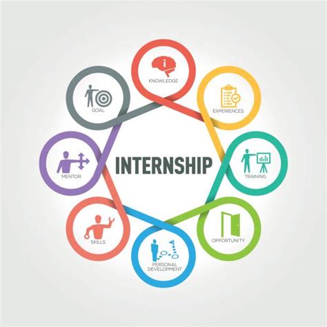 Royalty Free Internship Clip Art Vector Images And Illustrations Istock