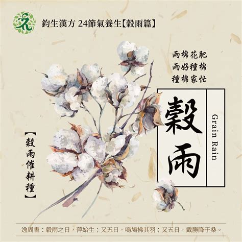 24節氣養生穀雨篇 鈞生漢方 Elixir Herbary 中西整合新漢方預防醫學新未來