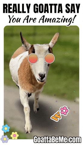 Youre Awesome S On Giphy Be Animated