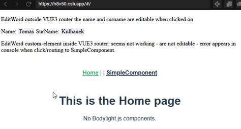 Third Party Custom Elements Imported Web Components Do Not Render In Router View · Issue 946