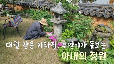 대궐 같은 기와집 부엉이가 돌보는 아내의 우아한 정원 Youtube
