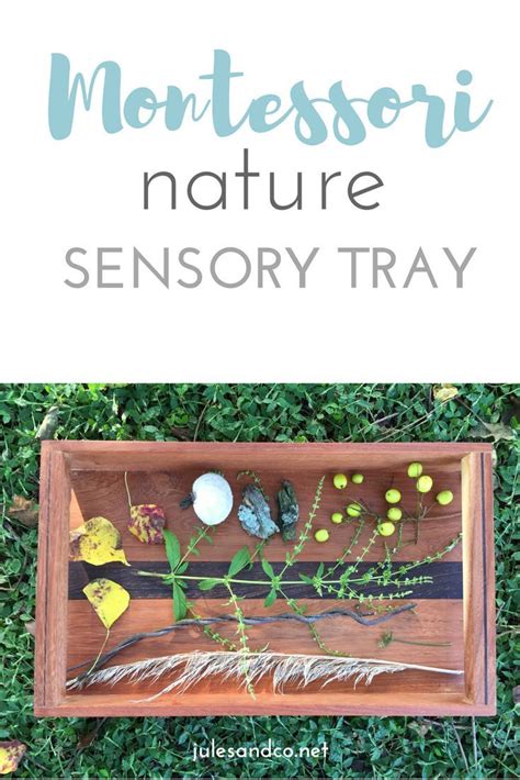 Montessori Nature Sensory Tray Jules And Co Homeschool Preschool