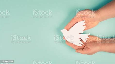 손에 흰색 비둘기를 들고 평화의 상징 종이 잘라 텍스트 에 대한 공간을 복사 비둘기에 대한 스톡 사진 및 기타 이미지 비둘기 손 자유 Istock
