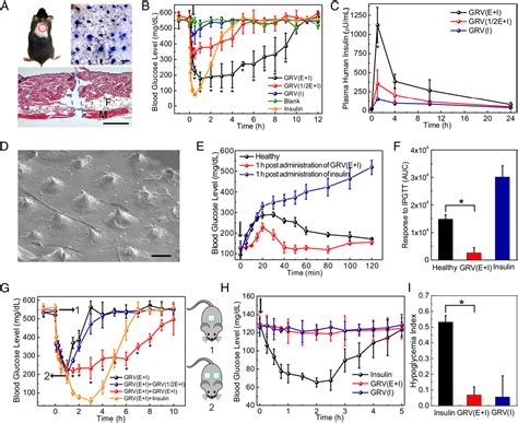 Azomycin Semantic Scholar