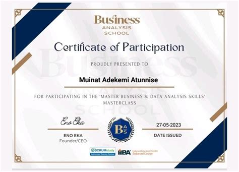 Businessanalyst Businessdataanalyst Dataanalytics Muinat Atunnise