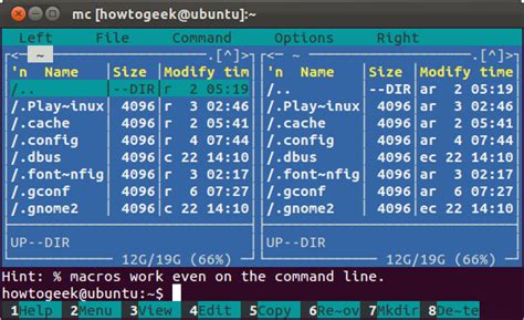 How To Manage Files From The Linux Terminal 11 Commands You Need To Know