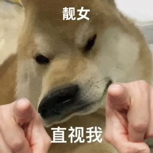 笑着指人的表情包表情包图片 求表情网 斗图从此不求人