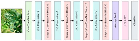 Convtransnet S A Cnn Transformer Hybrid Disease Recognition Model For Complex Field Environments