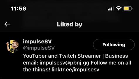 Impulsesv Cosplay Rhermitcraft