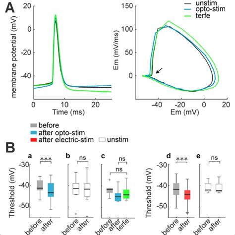 Spike Threshold Decreases After Optogenetic And Electrical Stimulation Download Scientific