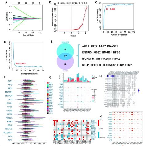 Machine Learning Assisted Netosis Related Genes Nrgs Identification