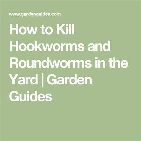How To Kill Hookworms And Roundworms In The Yard Garden Guides