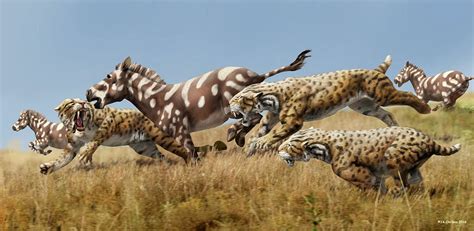 Scimitar Cats Chasing Prey Photograph By Jaime Chirinos Science Photo
