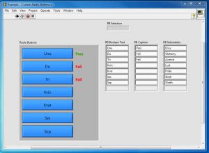 Example Custom Radio Buttons Uncertified LAVA