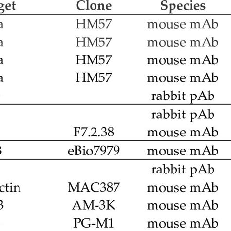 Immunolocalization Of Macrophages On Lymph Node Tissue A Roe Deer