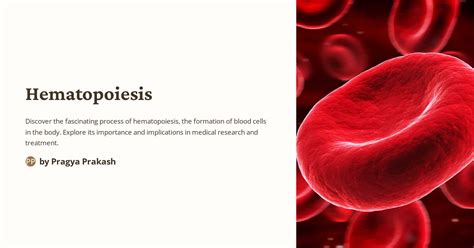 Hematopoiesis