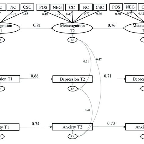 Autoregressive Model Of Metacognitive Beliefs Anxiety And Download Scientific Diagram