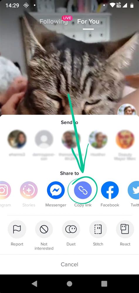 How To Embed TikTok Videos And Video Feeds On Your Website