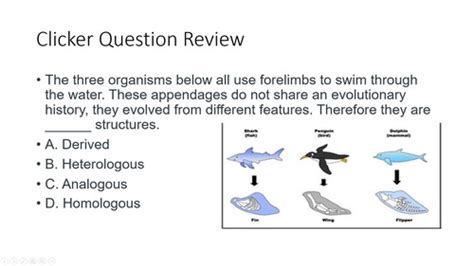 Clicker Questions Exam 1 Flashcards Quizlet