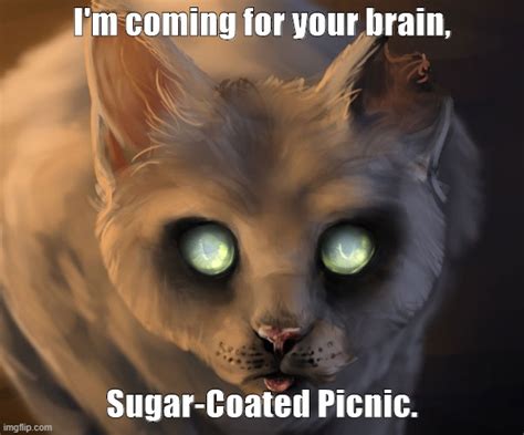 Zombie Cat Memes Meow Zombie Cat Video Tiktok
