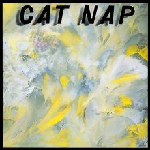 Maki Asakawa Cat Nap Re Issue Akiba Online