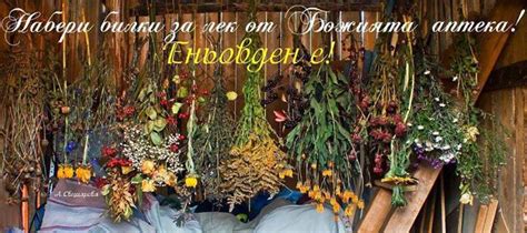 НА ЕНЬОВДЕН НАИСТИНА СЕ СЛУЧВАТ ЧУДЕСА ЗА ВСИЧКИ КОИТО СА ОТВОРЕНИ ЗА ТЯХ Статии Yumeiho