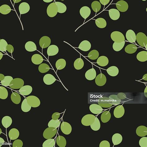 은색 달러 유칼립투스 잎과 가지가 검은 배경에 있는 간단한 매끄러운 패턴 섬유 디자인 인사말 카드 배경 화면을위한 꽃 질감 손으로 벡터 일러스트 레이 션 그리기 0명에 대한