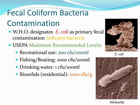 Ppt Impact Of Hurricanes Katrina And Rita On The Water Quality In Lake Pontchartrain And New