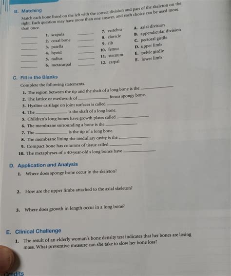solved b matching match each bone listed on the left with