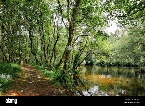 The Parga River As It Passes Through Guitiriz Riverside Forest