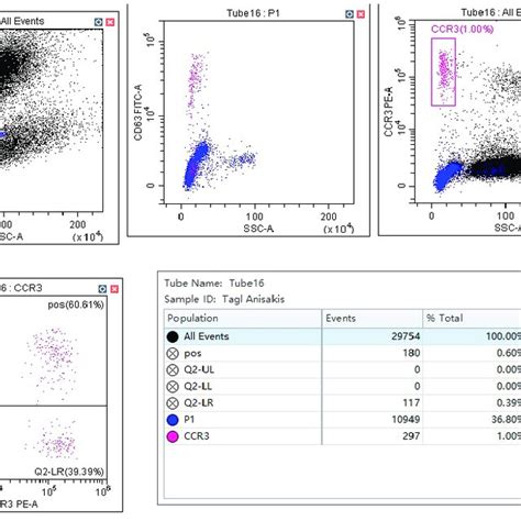 Flow Plot Of The Basophil Activation Test Obtained Following The