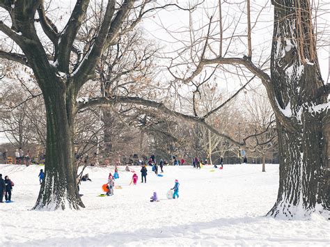 22 Best Things To Do In Winter In Boston