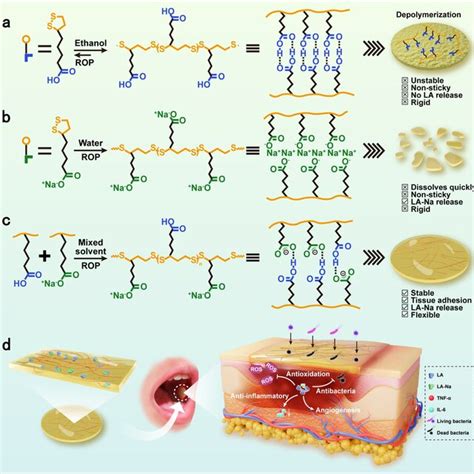 Pdf A Self Stabilized And Water Responsive Deliverable Coenzyme Based