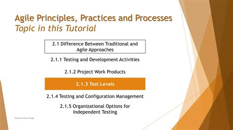 chapter 2 fundamental agile testing principle practices and process