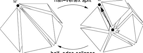 an example of a half edge collapse and of a half vertex split download scientific diagram