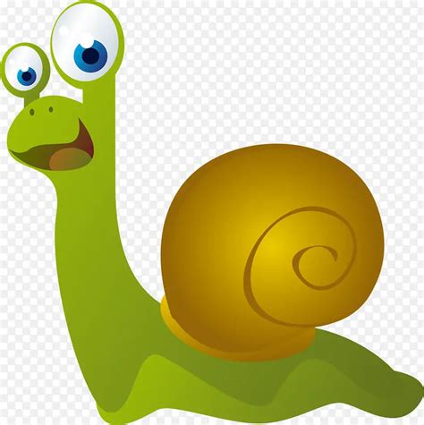Png Png