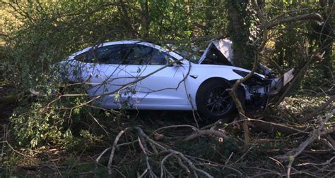 Tesla Model 3 Driver Walks Away After Crashing Head On Into A Tree Drive Tesla