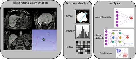 Workflow For Extraction Of Radiomic Features From Clinical Images The