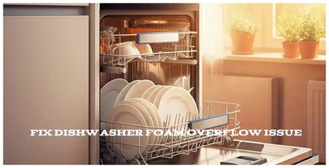 Fix Dishwasher Foam Overflow Issue 2025