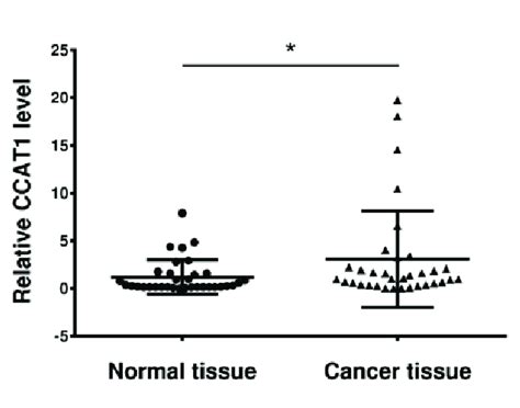 The Gene Expression Level Of Ccat1 In Human Bladder Tumor Tissues And